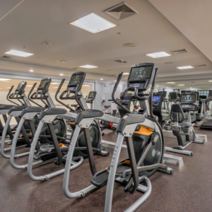 TGM Anchor Point Marina - Stamford’s Marina of Choice